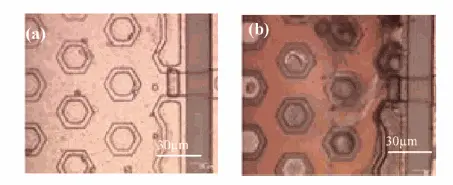 Single Event Effect (SEE) in complex devices